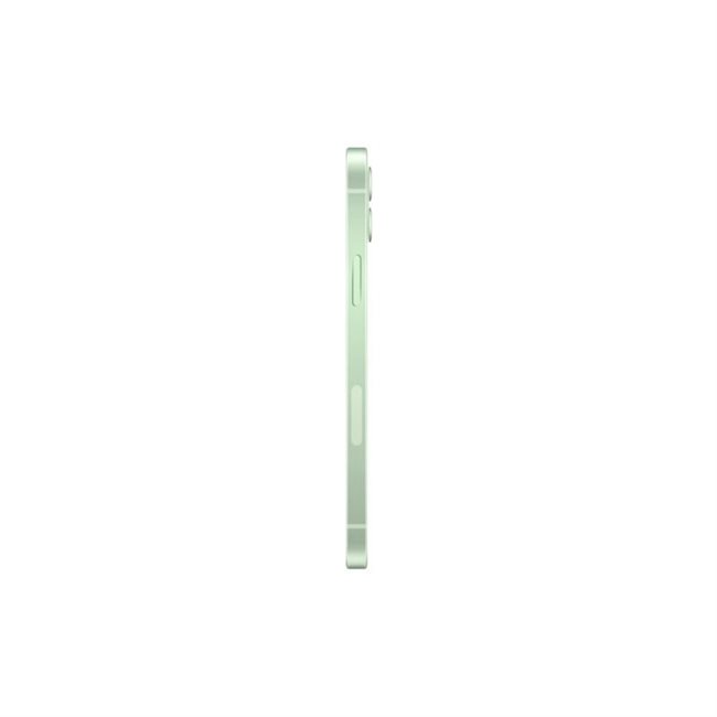Apple iPhone 12 mini 256GB Dual-SIM grün 13,7 cm 5,4 Zoll 5G mieten